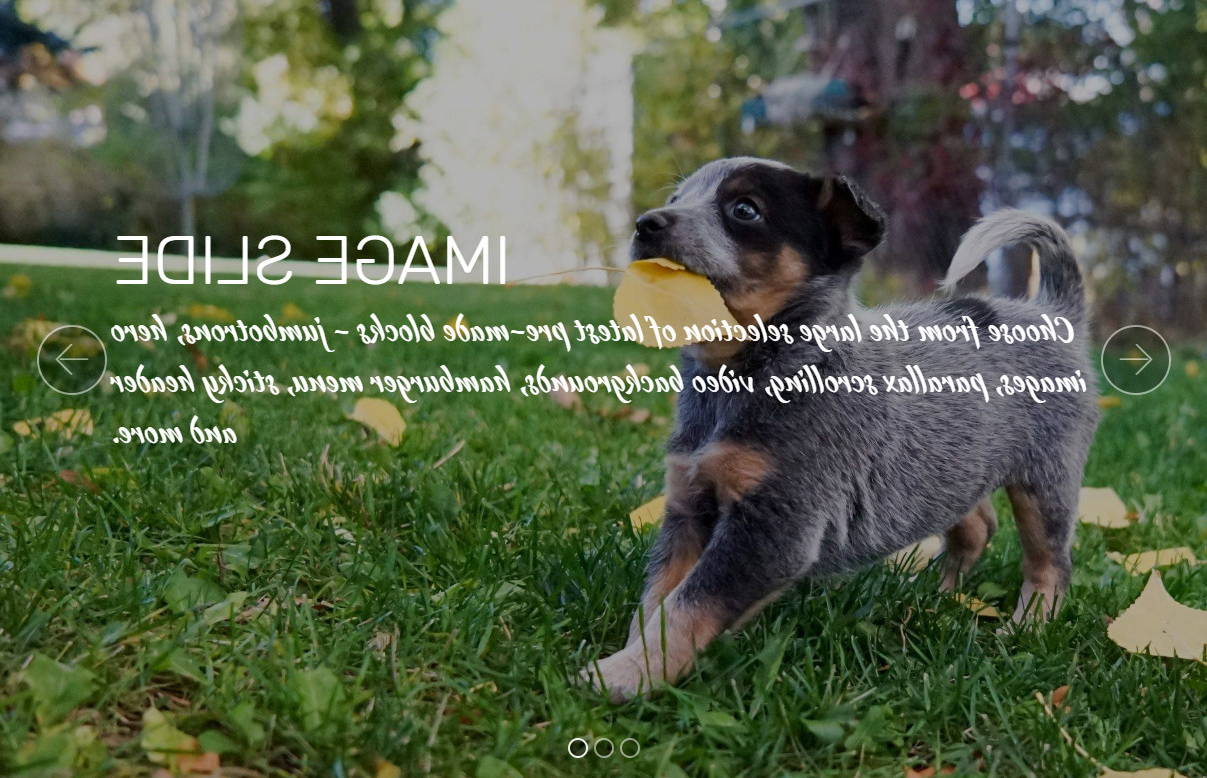Stunning New Bootstrap Video Carousel Examples